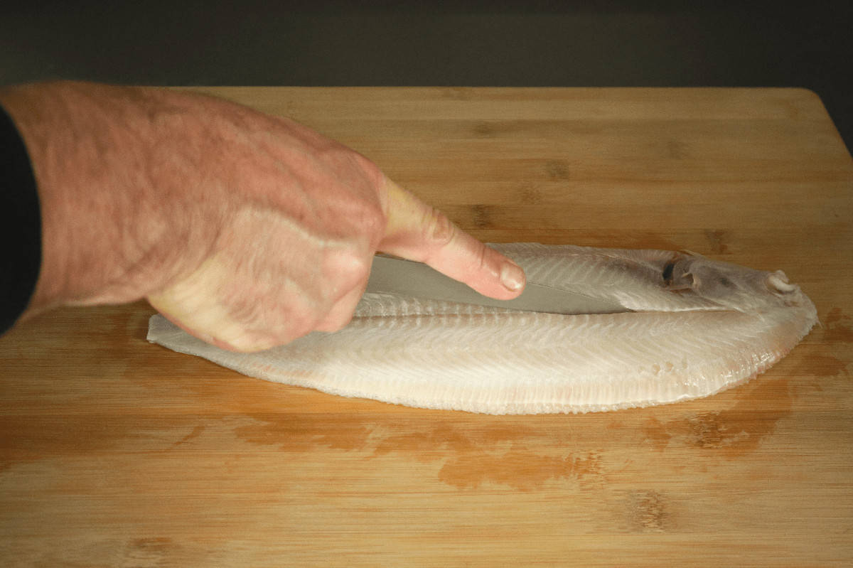 How To Fillet A Flat Fish - Culinary Ambition