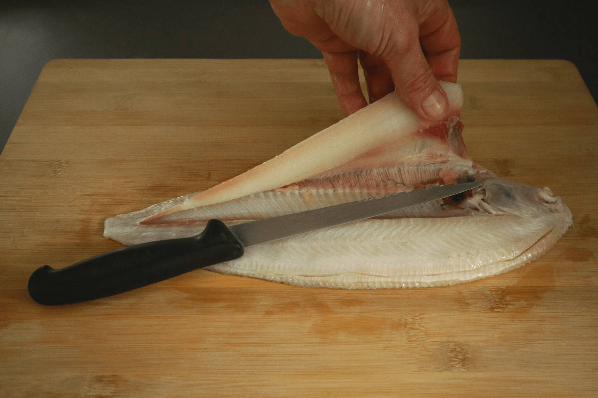 How To Fillet A Flat Fish - Culinary Ambition