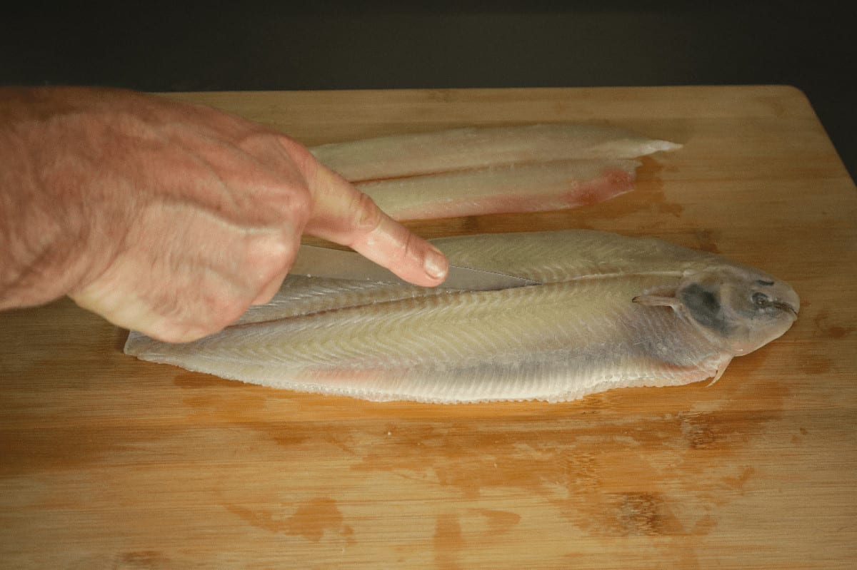 How To Fillet A Flat Fish - Culinary Ambition