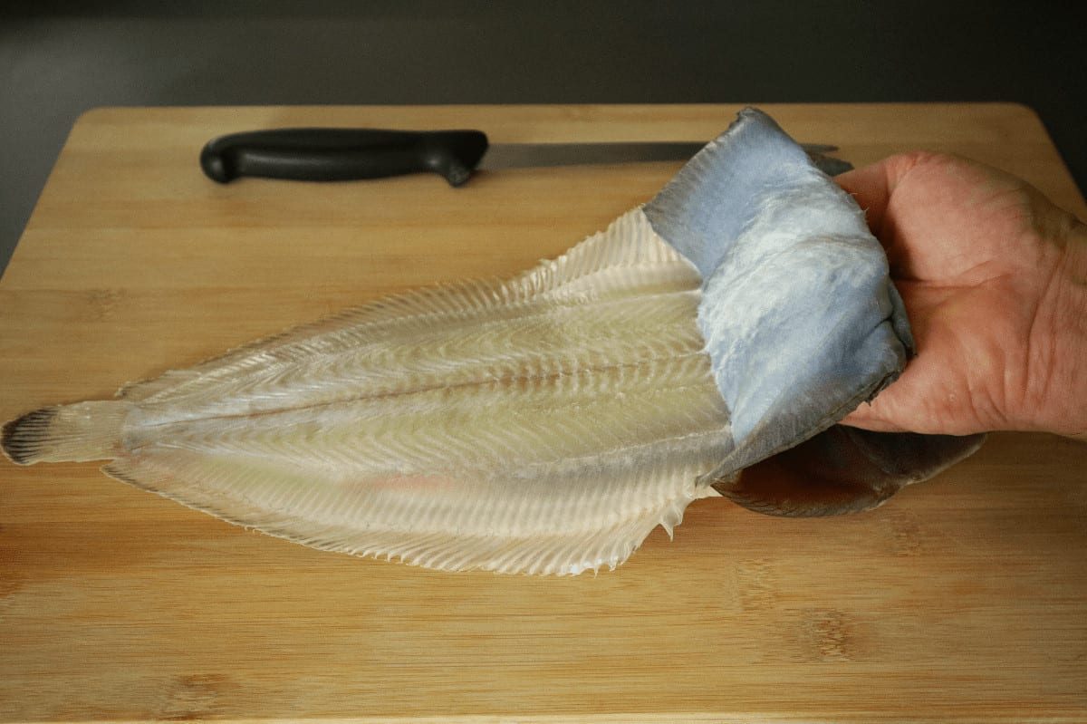 How To Fillet A Flat Fish - Culinary Ambition