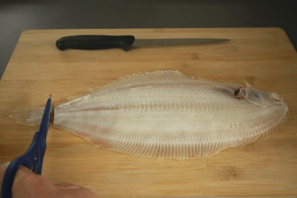 How To Fillet A Flat Fish - Culinary Ambition