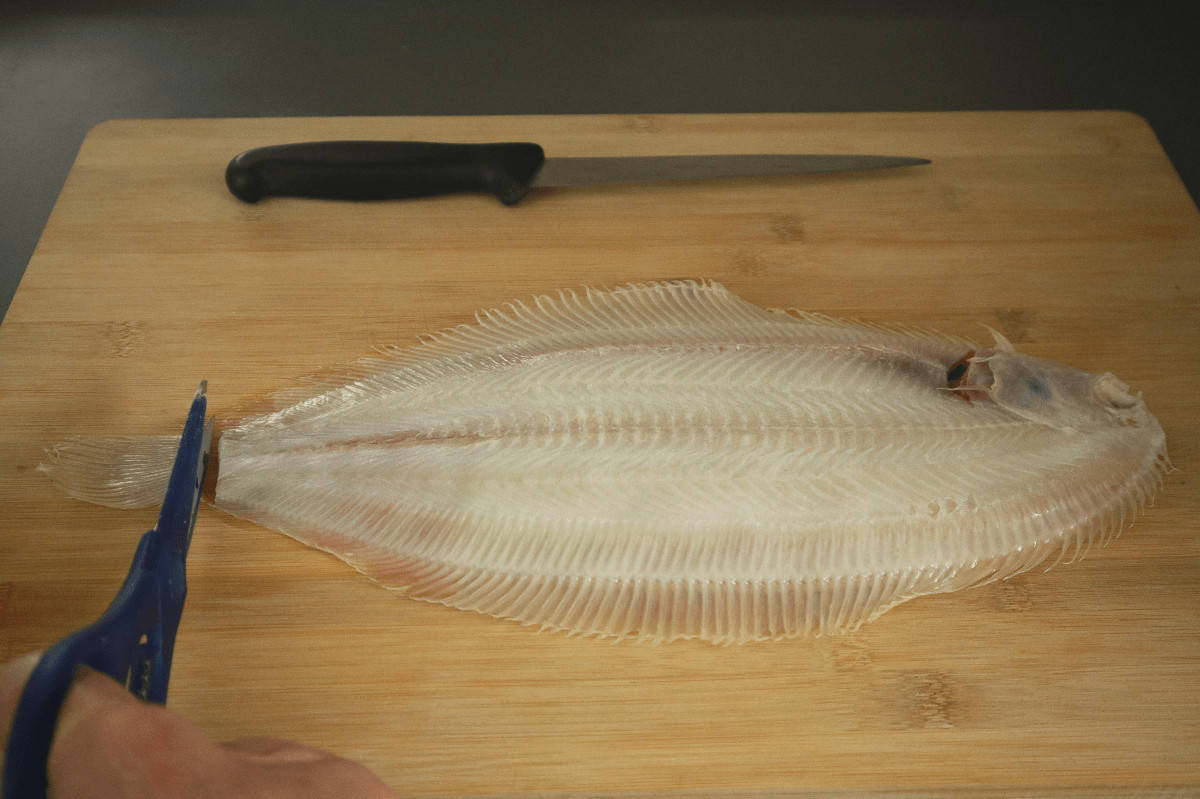 How To Fillet A Flat Fish - Culinary Ambition