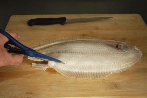 How To Fillet A Flat Fish - Culinary Ambition