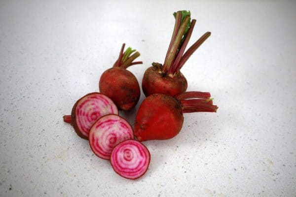 Beautiful Chioggia Beet Carpaccio - Culinary Ambition