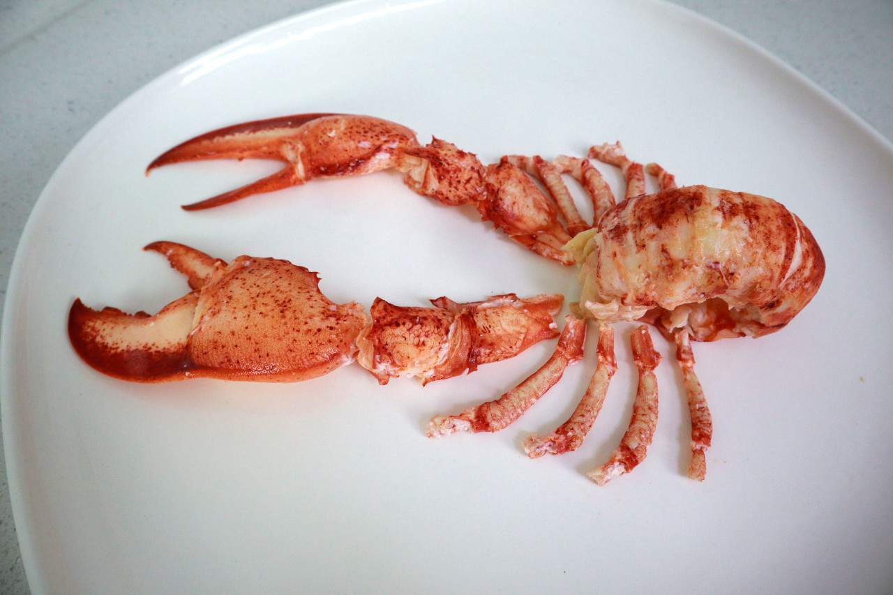 How To De-shell A Lobster - Culinary Ambition