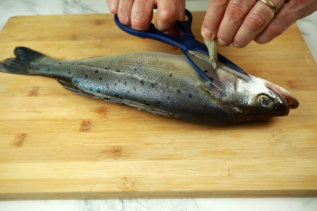 How To Fillet A Round Fish - Culinary Ambition