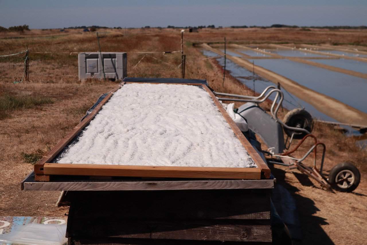 Different Types Of Salt And Their Uses - Culinary Ambition